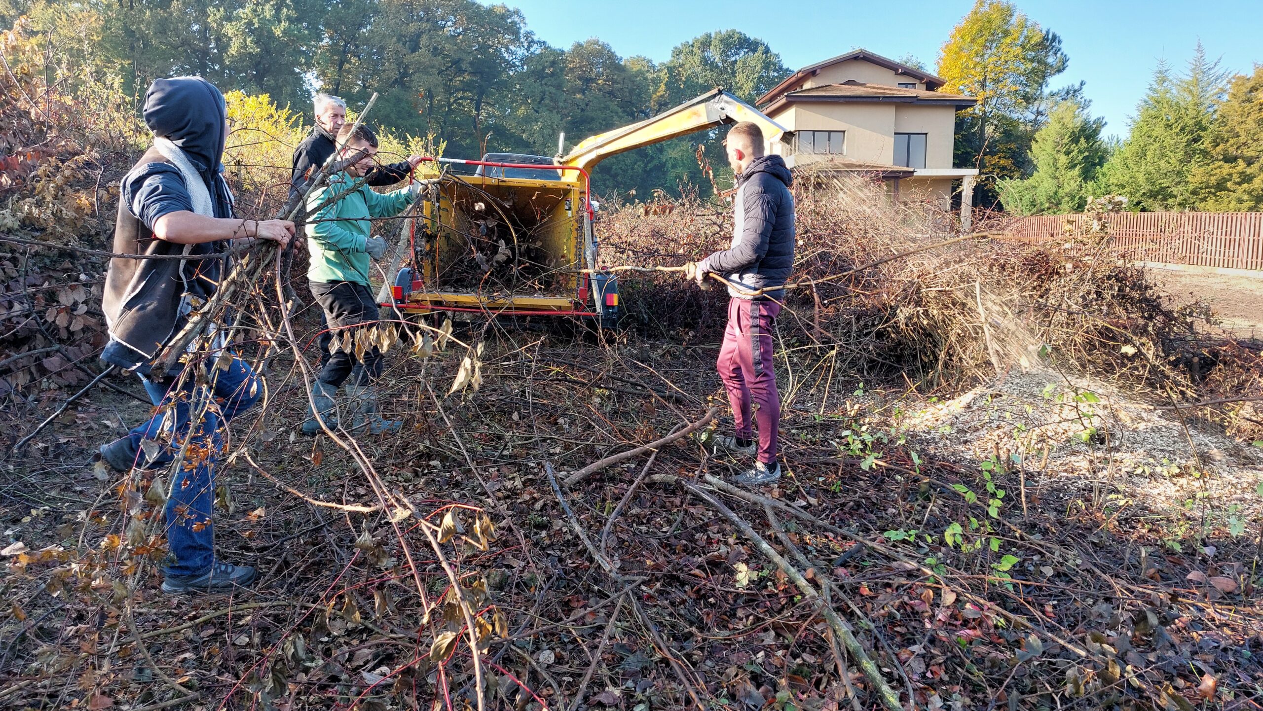 Curatare si defrisare terenuri - intretineregradini